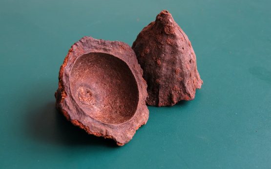 Ishpingo – Sucesores Luis Rodríguez